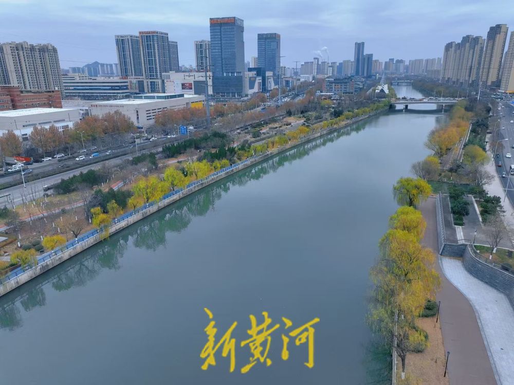 小清河岸畔垂柳披金，冬日韵味渐浓-新黄河APP