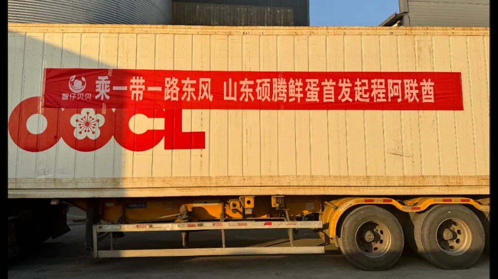 “简”程序、“守”底线：宅基地“土检”有了新变化！| “琪”妙的环保⑥-新黄河APP